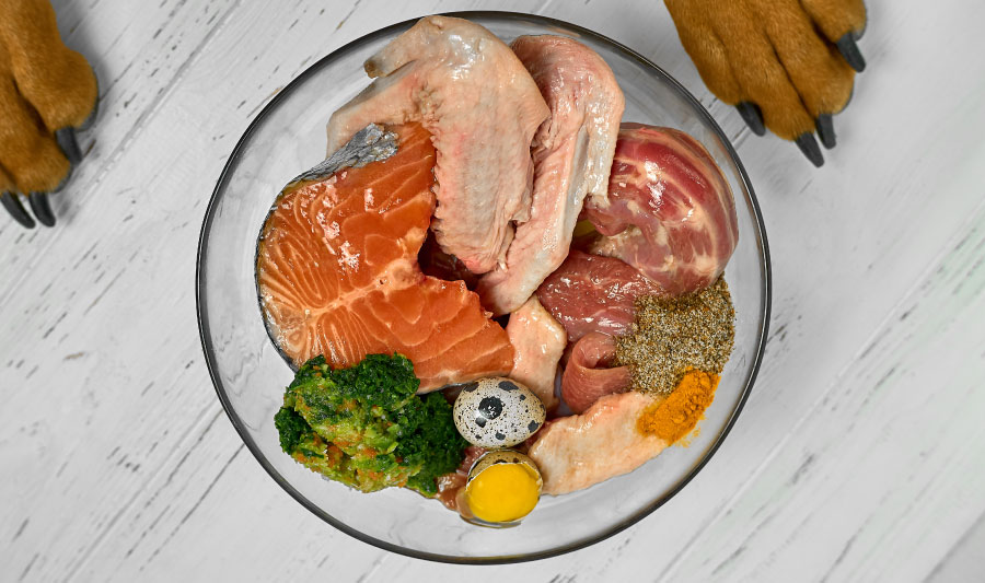 Calidad de alimentos para perro: Todo está en la preparación